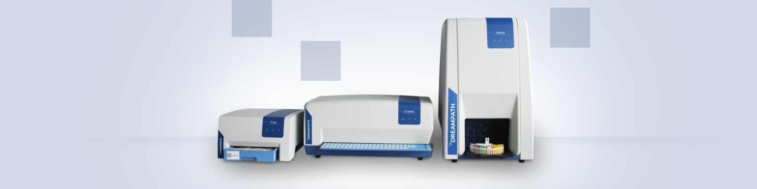 Solutions - Dreampath